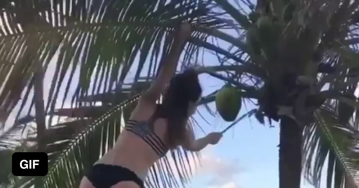 Oooh! Let me get this coconut ... - 9GAG
