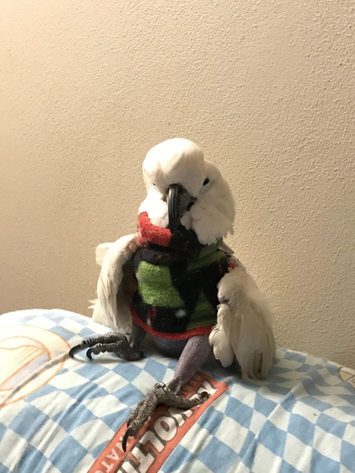 Don't mind me. I'm just going to plop down here and take a nap. - 9GAG