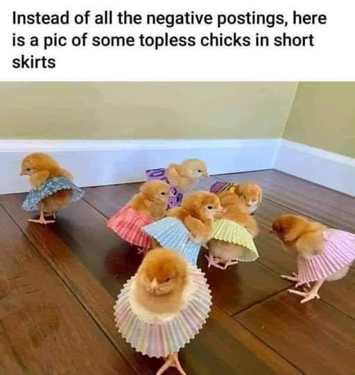 Chicks - 9GAG