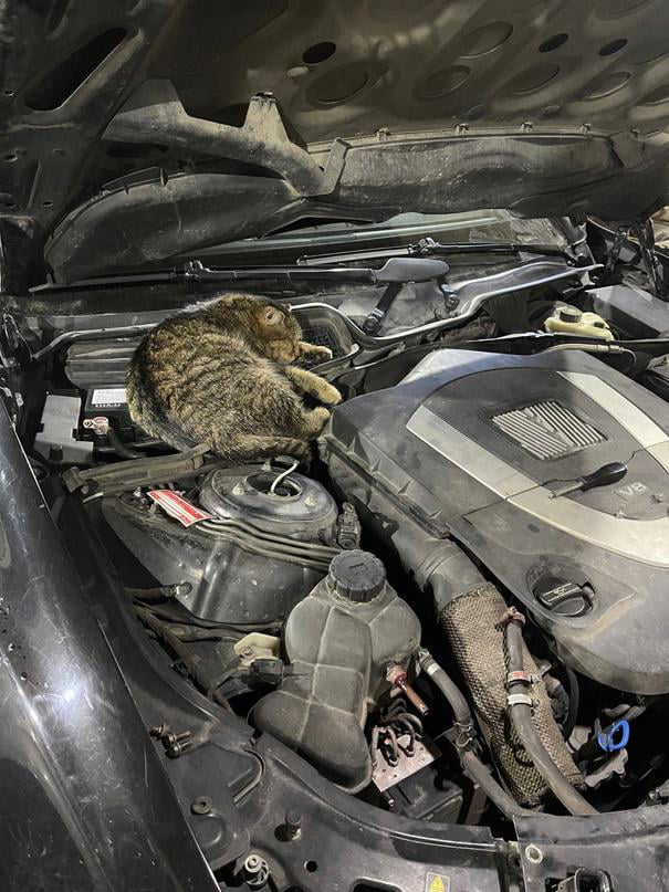 Tired of engine repair - 9GAG