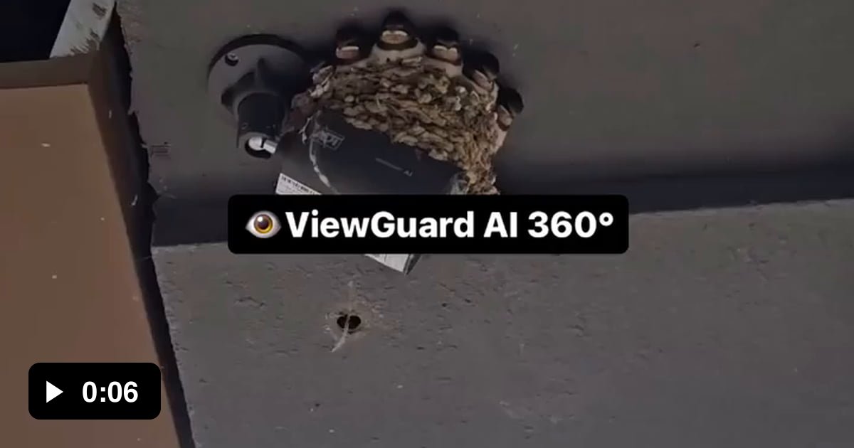 The cutest surveillance camera i've ever seen - 9GAG