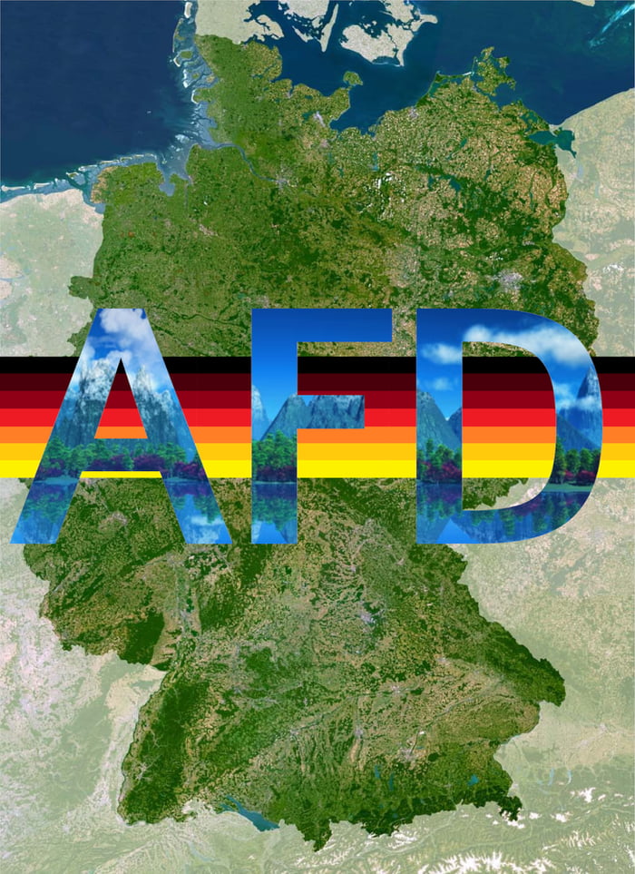Nur die AFD - 9GAG