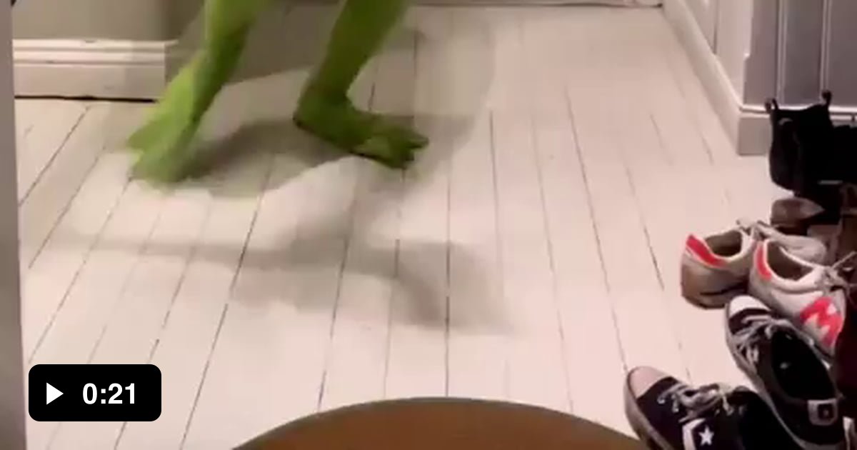 A psychokiller frog with a banger of a song on a Wednesday. - 9GAG