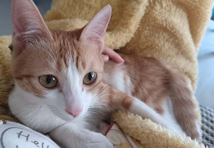Sup fam,Good morning,my sweetheart has come to wake me up - 9GAG