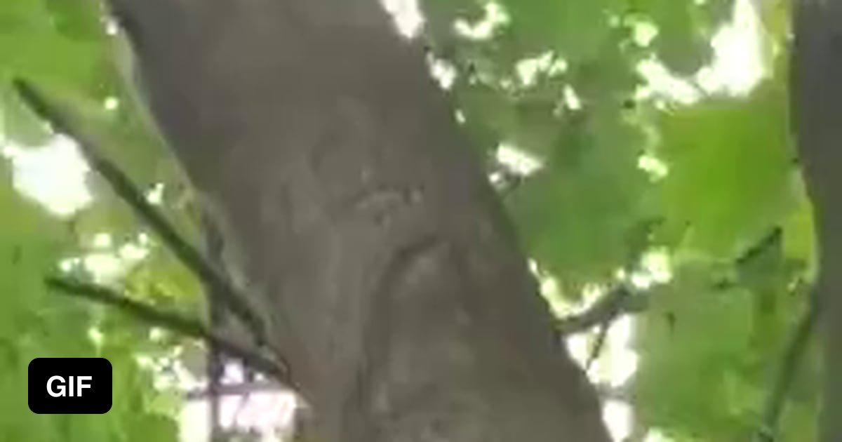 Fuk U..No, Fuk U - 9GAG