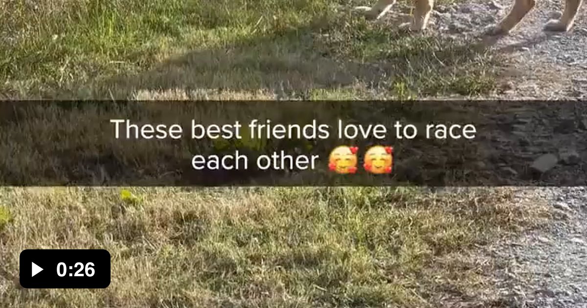 First one there and back wins - 9GAG