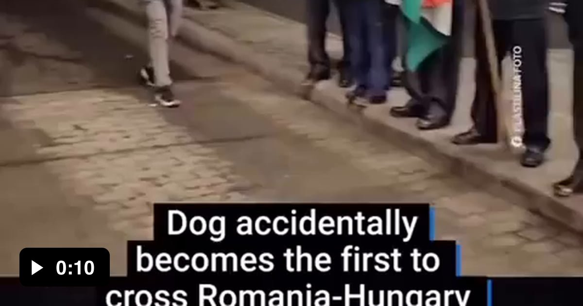 Bro was so confused 😭😭 - 9GAG