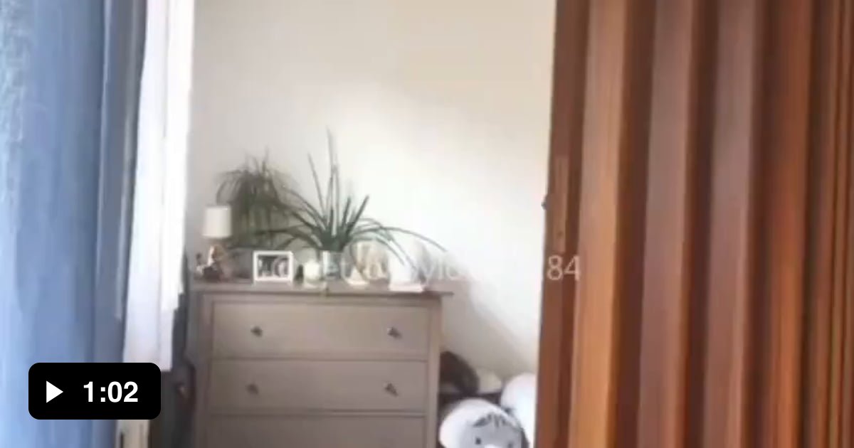 Catto Dorifto - 9GAG