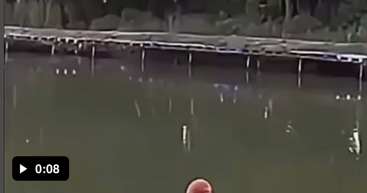 Task failed successfully. Fish has been promoted to bird - 9GAG