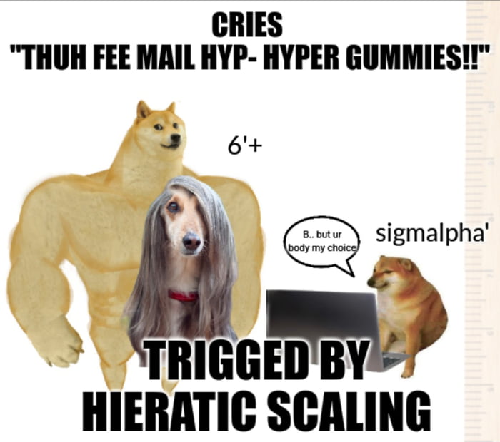 In short I Big- You B!tch lulz - 9GAG