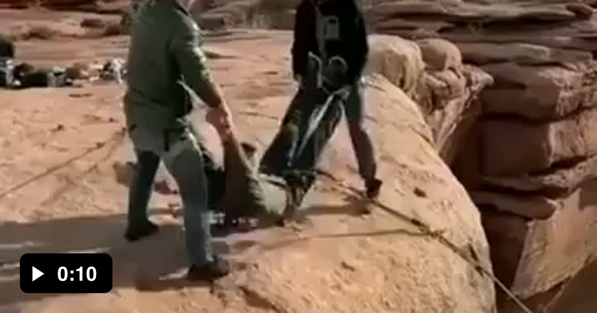 Absolute unit of bravery, zero hesitation 🔥 - 9GAG