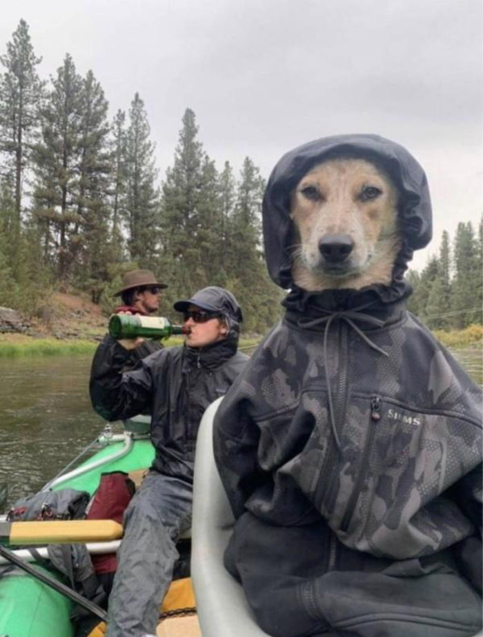 Me trying to avoid social interaction on a group outing - 9GAG