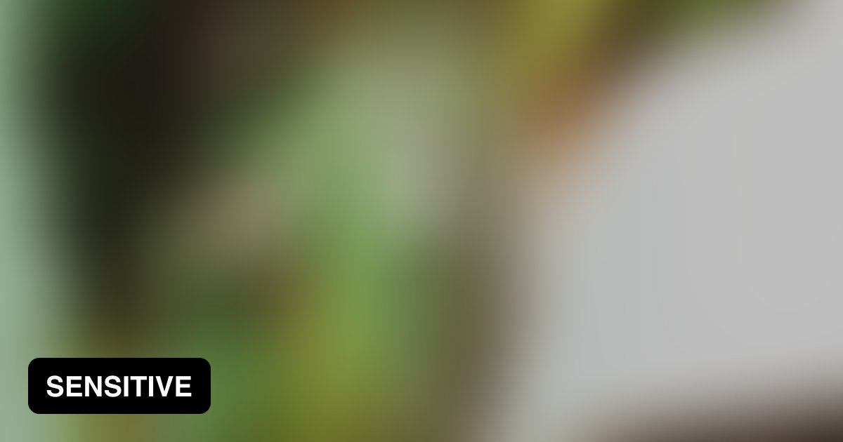 So shiny, so risky, so worth it. - 9GAG