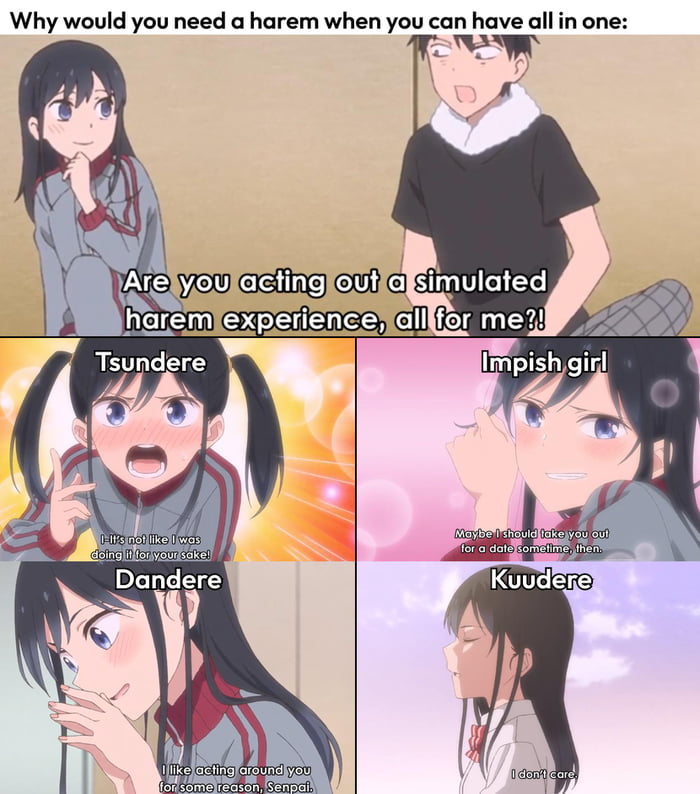 The harem problem has been successfully resolved - Pseudo Harem - 9GAG