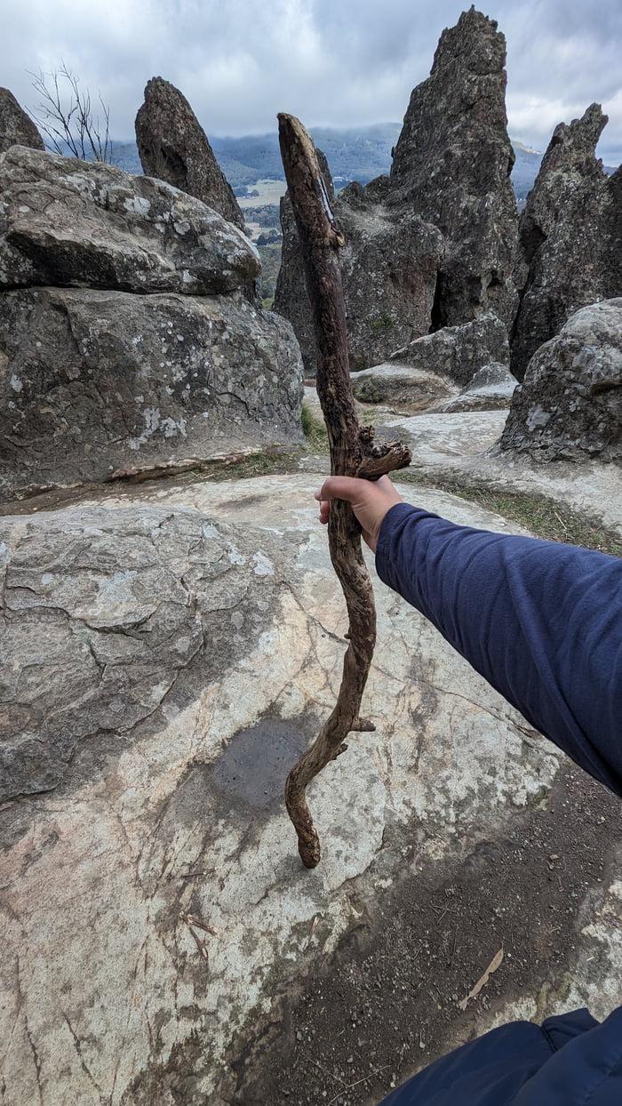 Look at my mighty stick - 9GAG