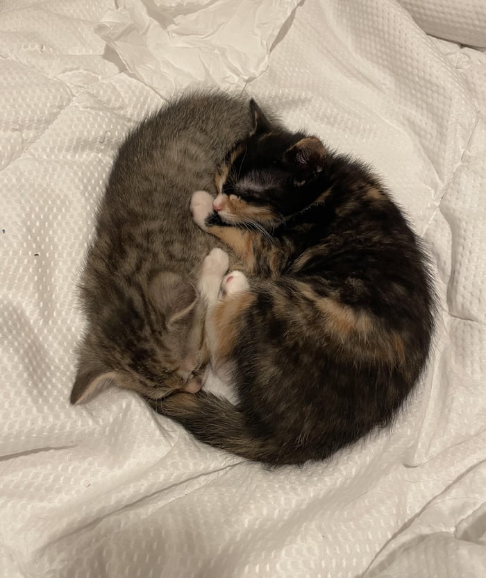 Two criminals caught napping - 9GAG