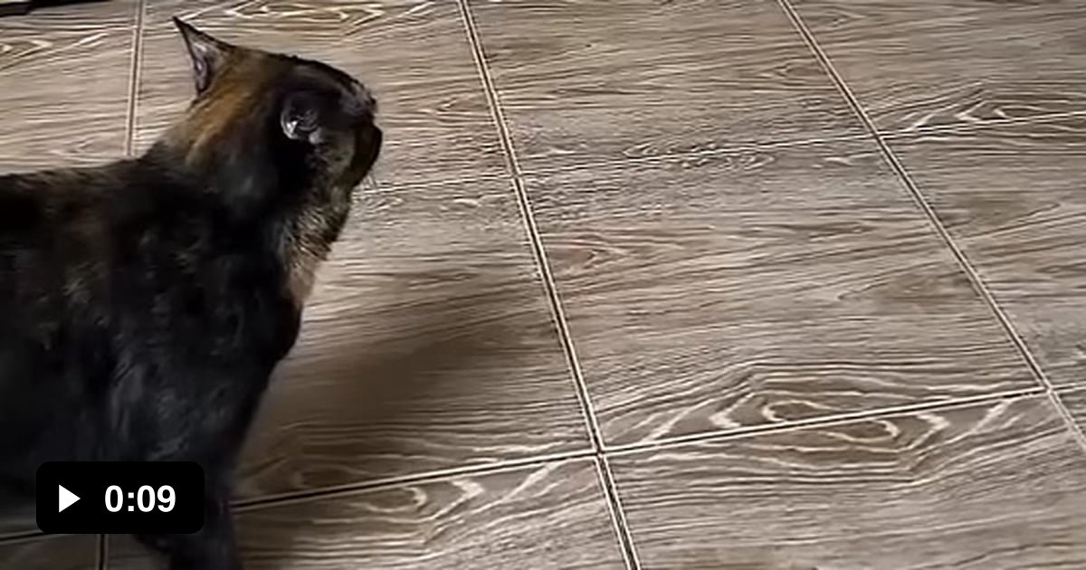 The slap was personal - 9GAG