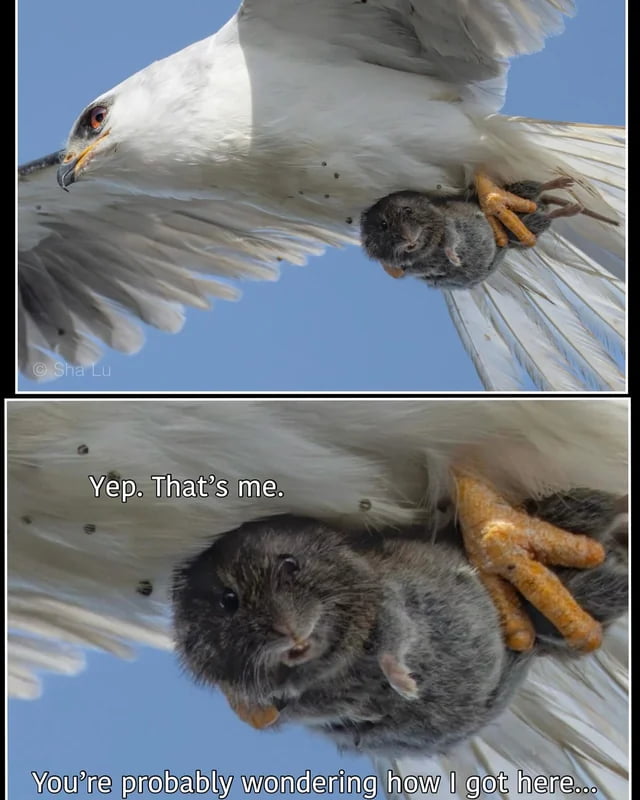 Well… shit. - 9GAG