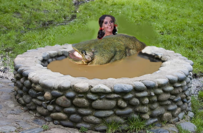 Well,Wells,Wels - 9GAG