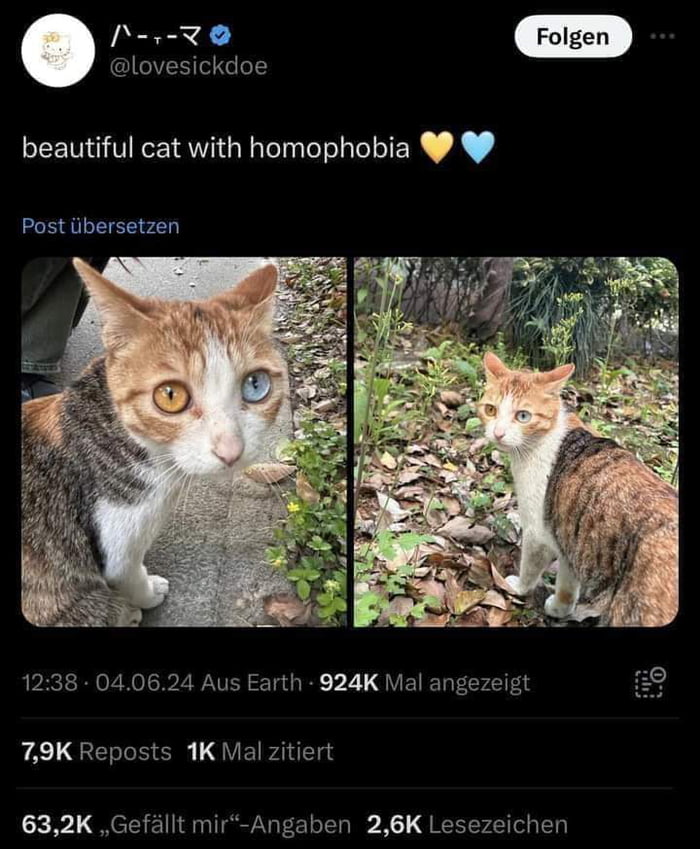 Based cat. - 9GAG