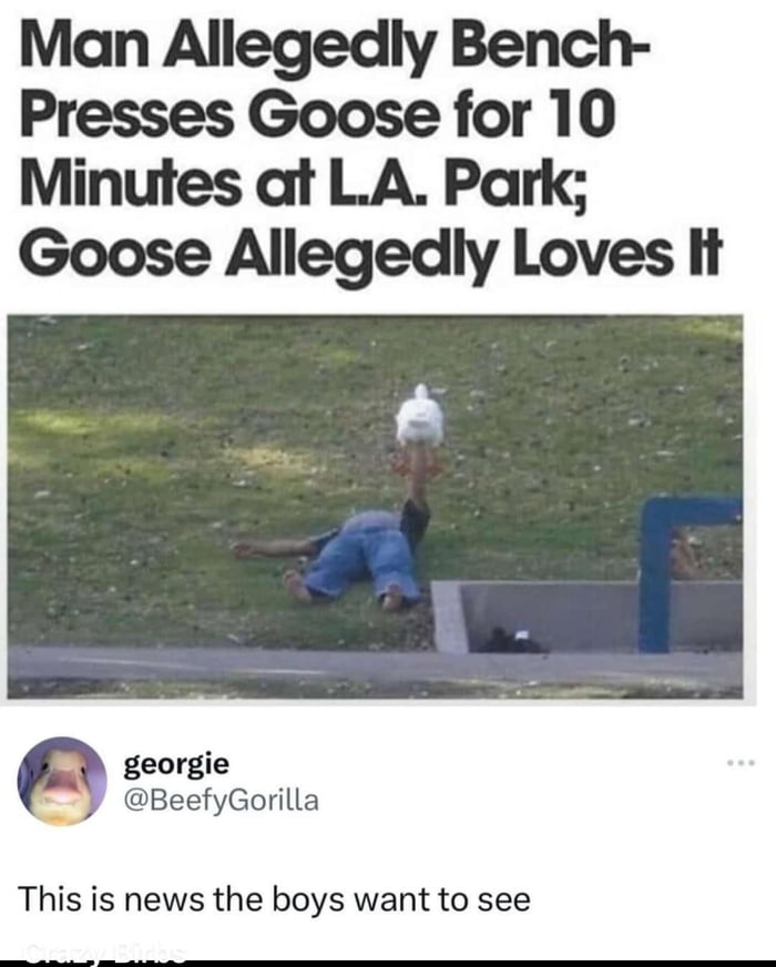 Breaking news - 9GAG