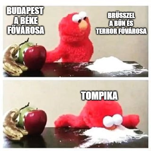 Tompika mindenképp jól jár! - 9GAG