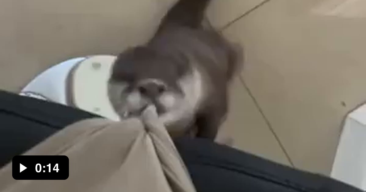 It's me when they tell me not to screw yourself up😅 - 9GAG