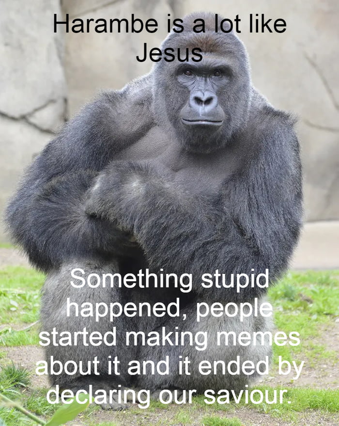 All Hail our Lord and Saviour, Harambe - 9GAG