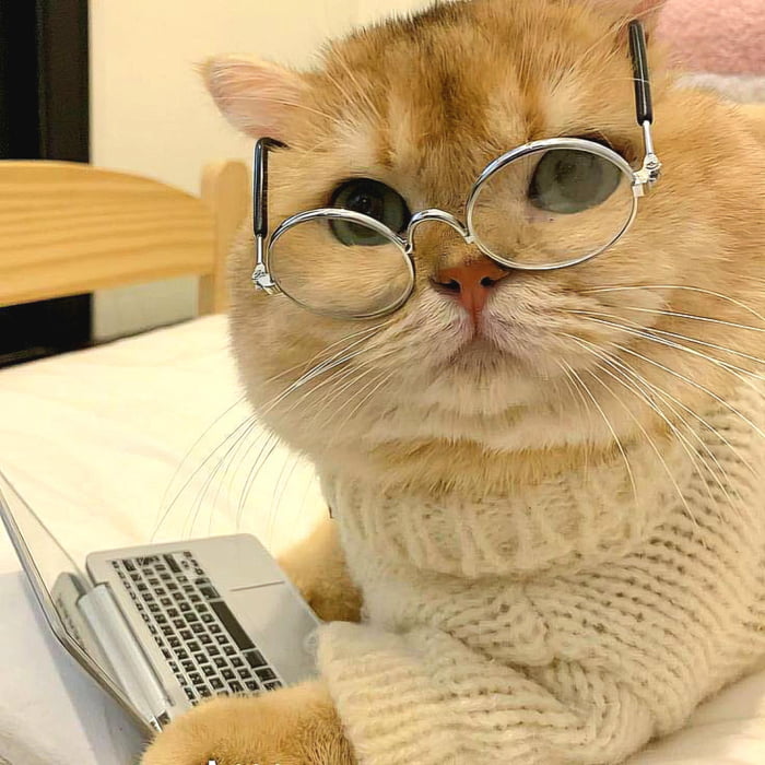 Software developer - 9GAG