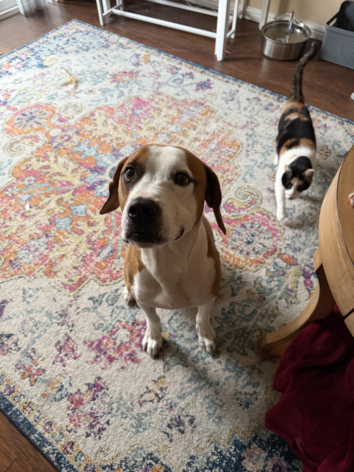 He is extra smiley in this picture! - 9GAG