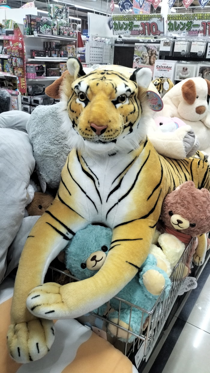 Bro, what the heck with those too many bots on fresh ? - 9GAG