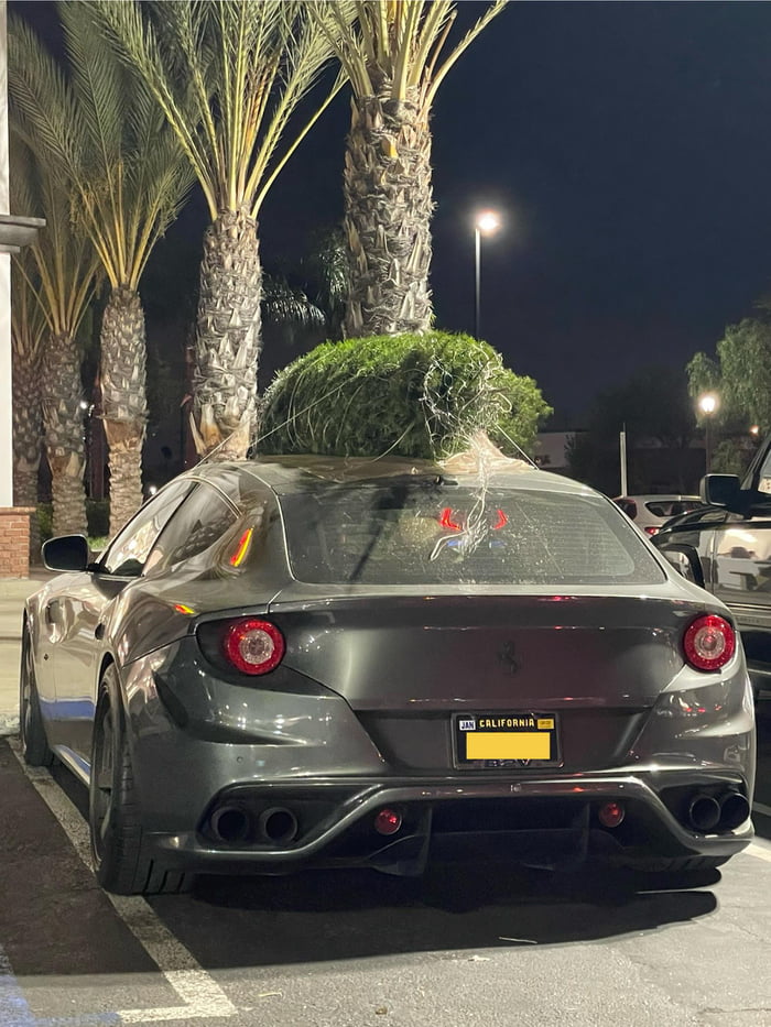 Christmas tree on top of a $430,000 Ferrari. - 9GAG