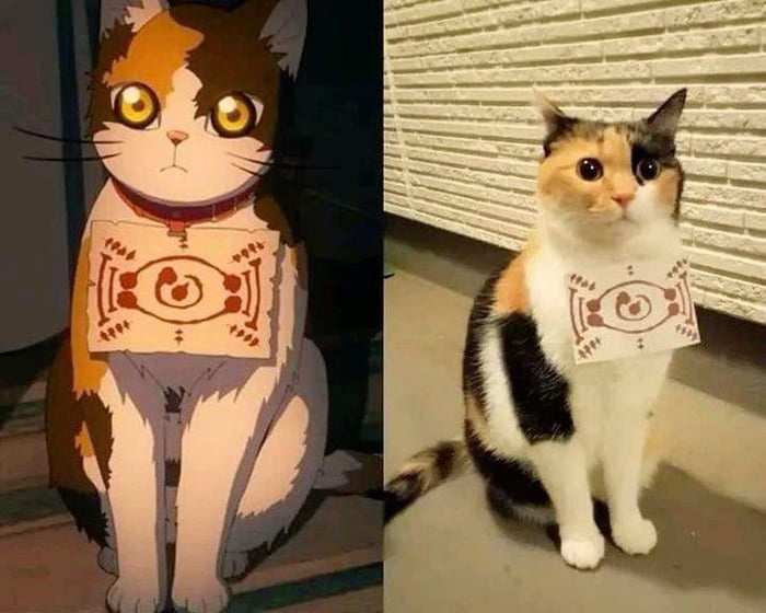 The perfect cosplay doesn't exi-- - 9GAG