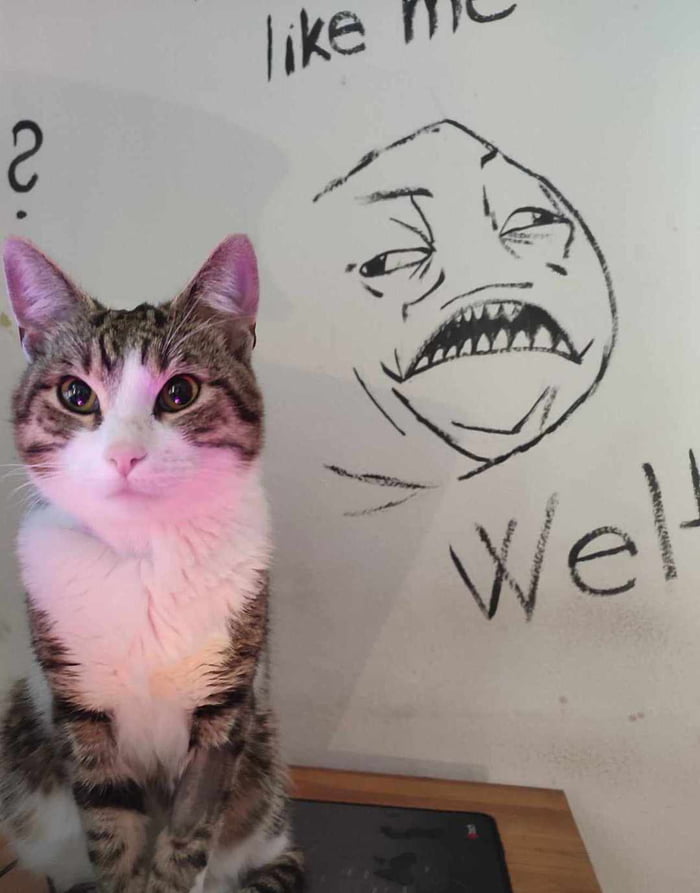 Azriel, my little devil - 9GAG