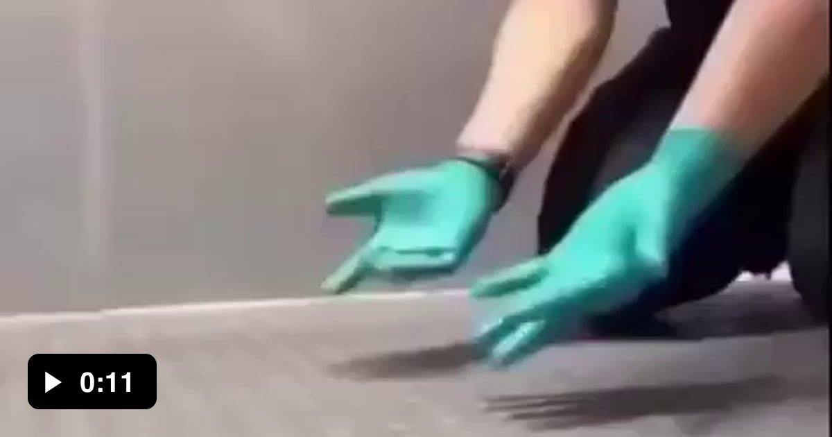 Penguin with his favourite vet - 9GAG