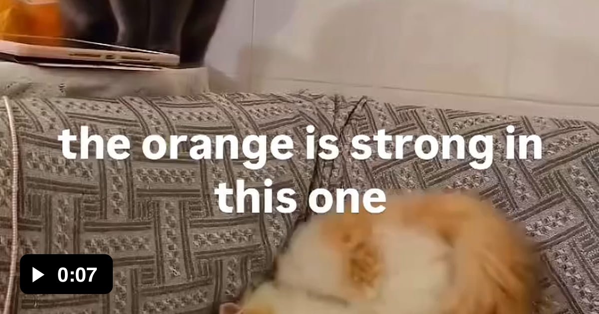 Superorange - 9GAG