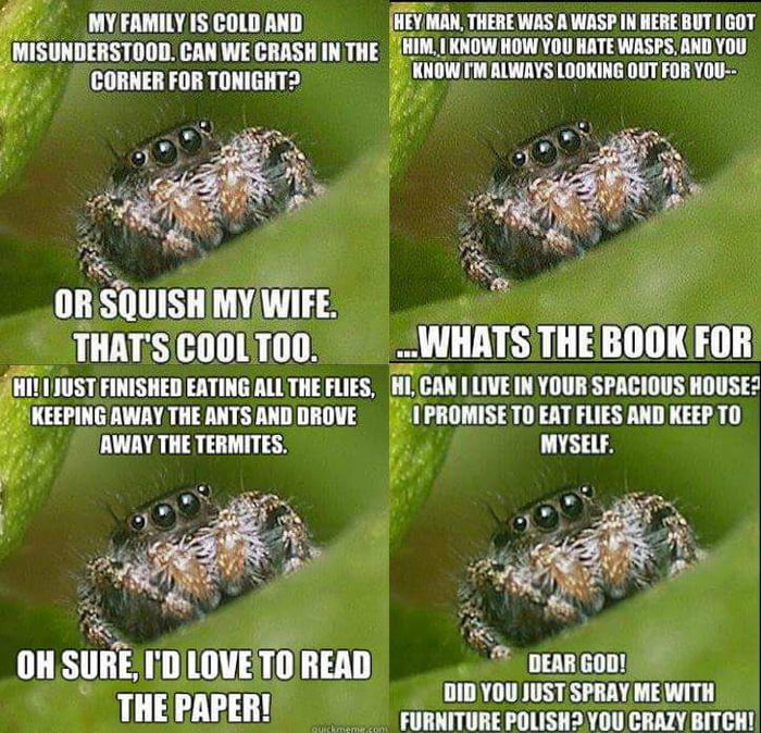 Spoder - 9GAG