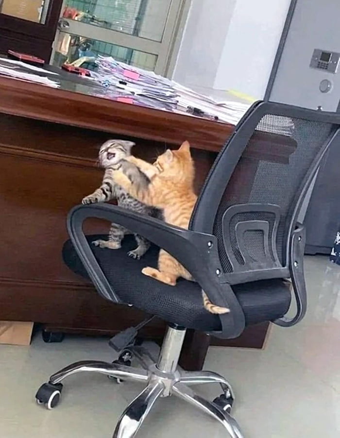 Workplace drama. - 9GAG