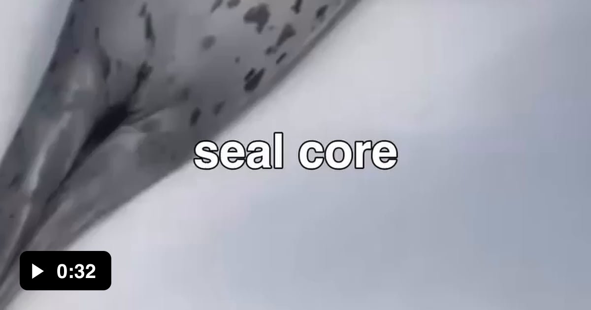 Seal Core - 9GAG