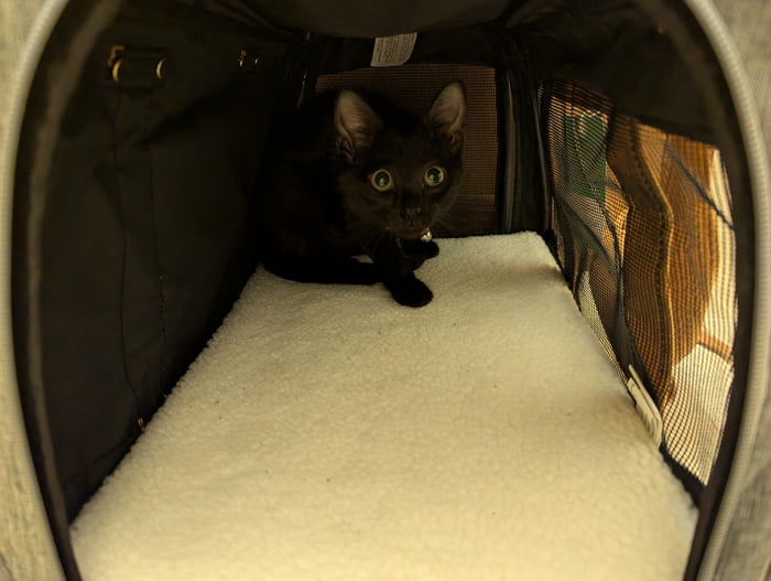 Smol void discovering her new home - 9GAG