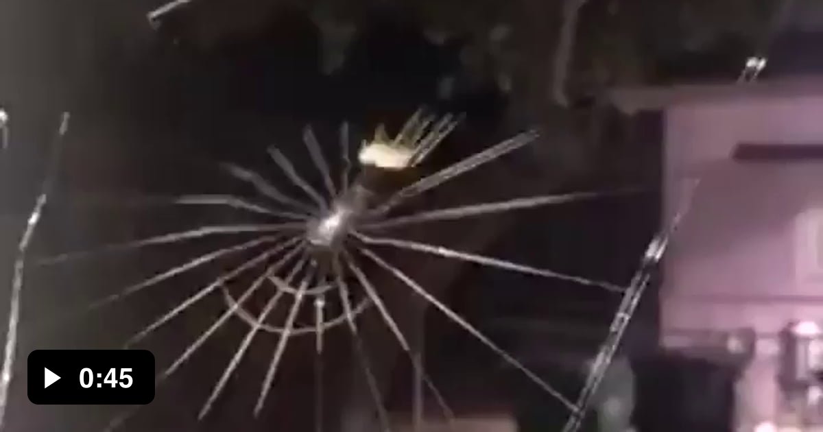 Spider making its web - 9GAG