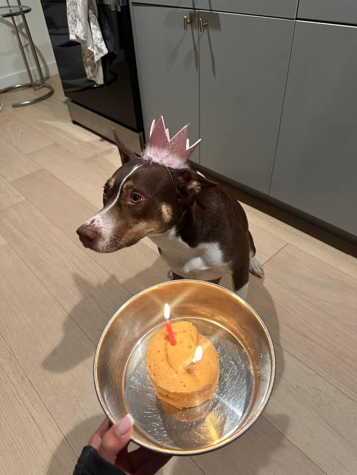 It's her birthday and she wanted y'all to see her crown - 9GAG
