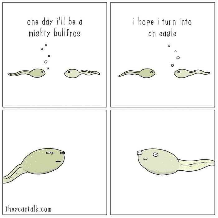 I might be ‘too soon’ with this post, but these little dudes count as a frog! - 9GAG