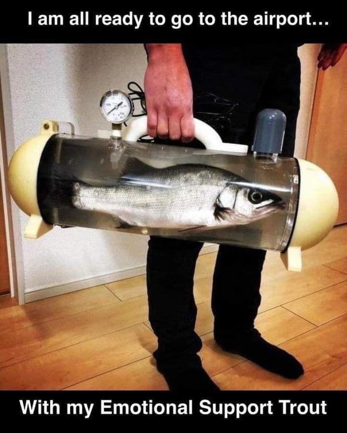 Time for a holiday surely…? - 9GAG