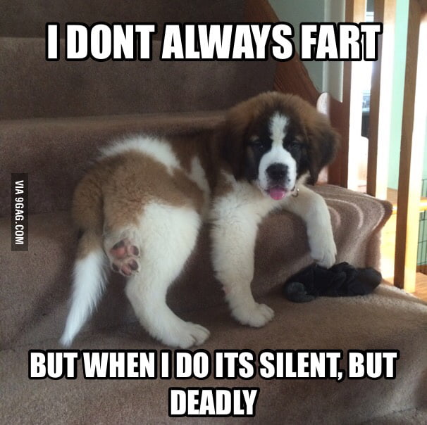 Lean, mean, farting machine. - 9GAG