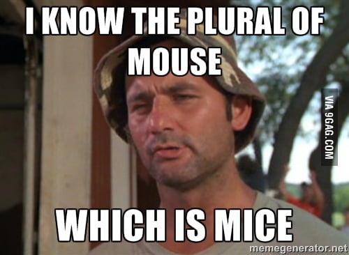 Not nice, but mice - 9GAG