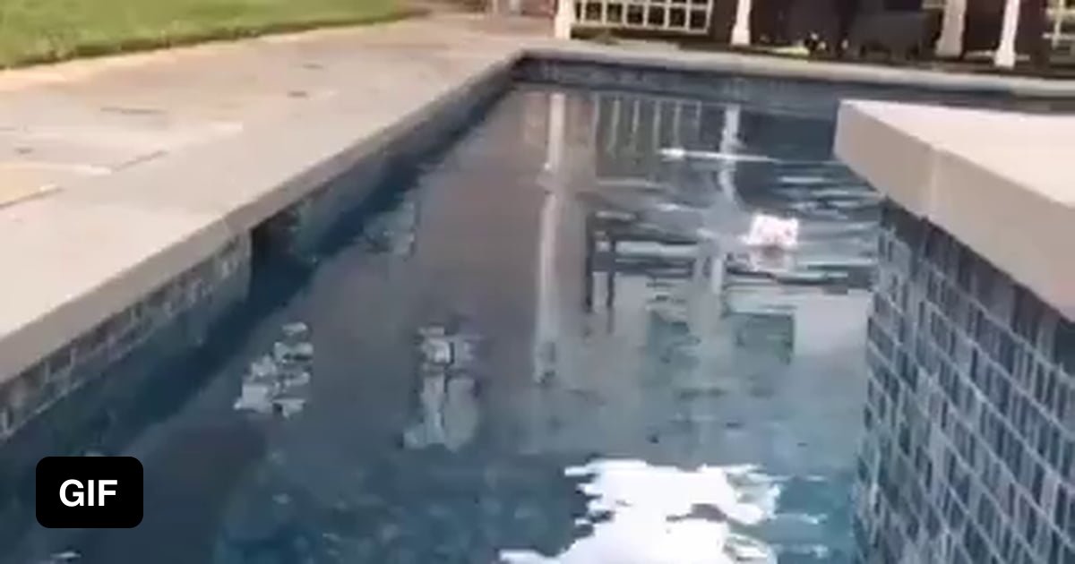 Swimming in the Pool - 9GAG