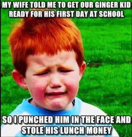 Ginger Souls 3 - 9GAG