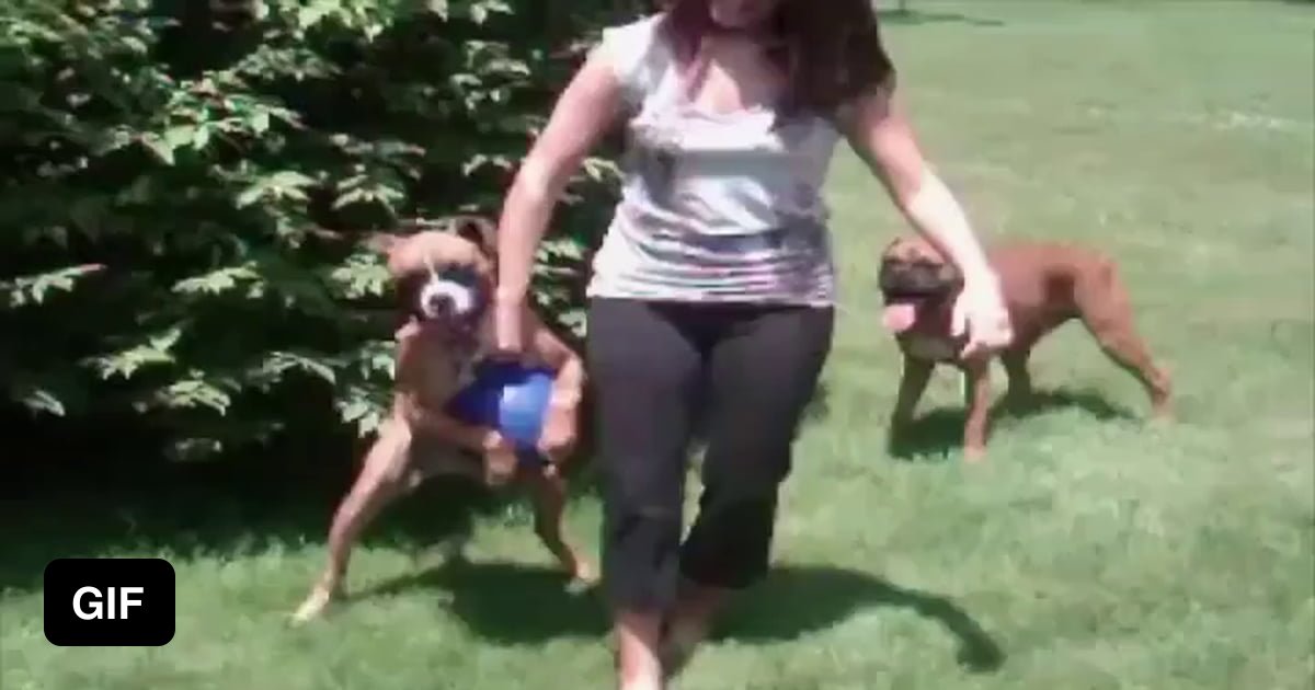 NO TAKE. ONLY THROW. - 9GAG