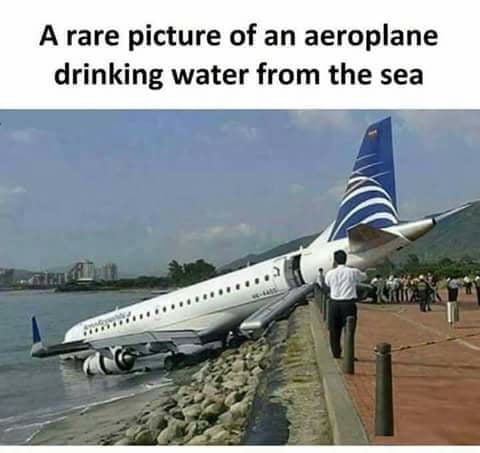 Thirsty plane - 9GAG